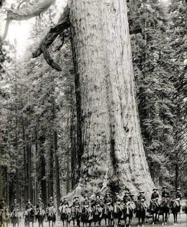 A group of photos that have not been seen for a long time, the Danish ...