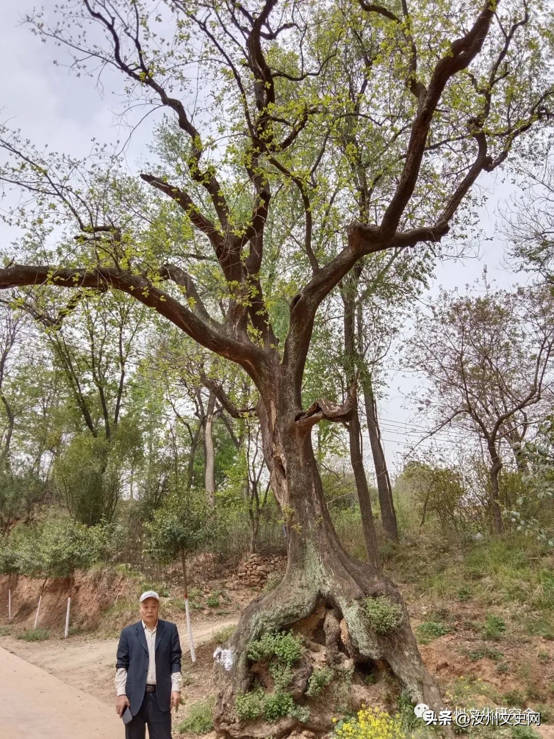Ancient Mushan Chu Great Wall Ruins - iMedia