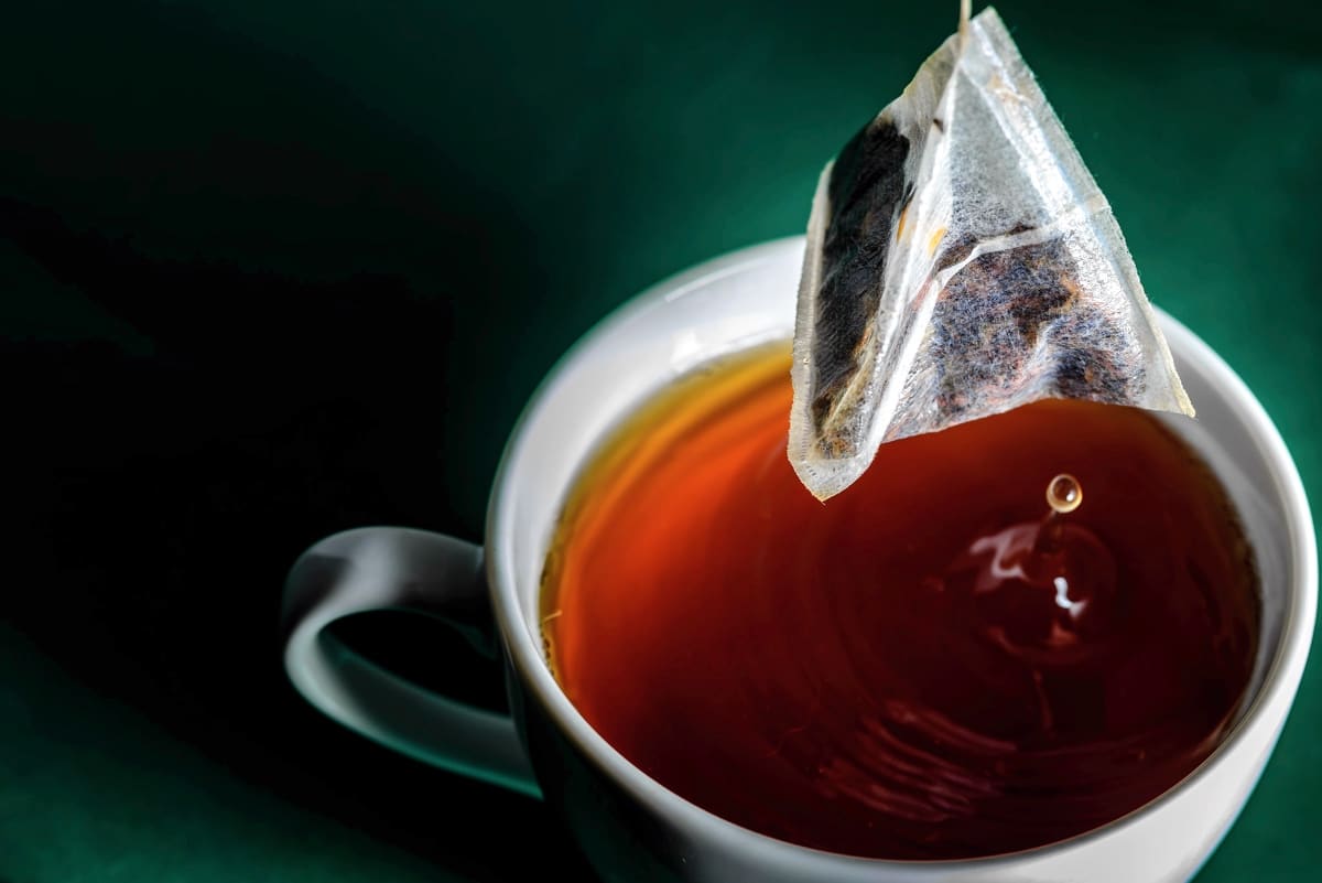 DNA from thousands of insects found in tea bags - iNEWS