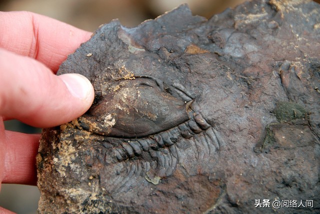 Ancient Shipping Routes: Insights from Underwater Archaeological ...