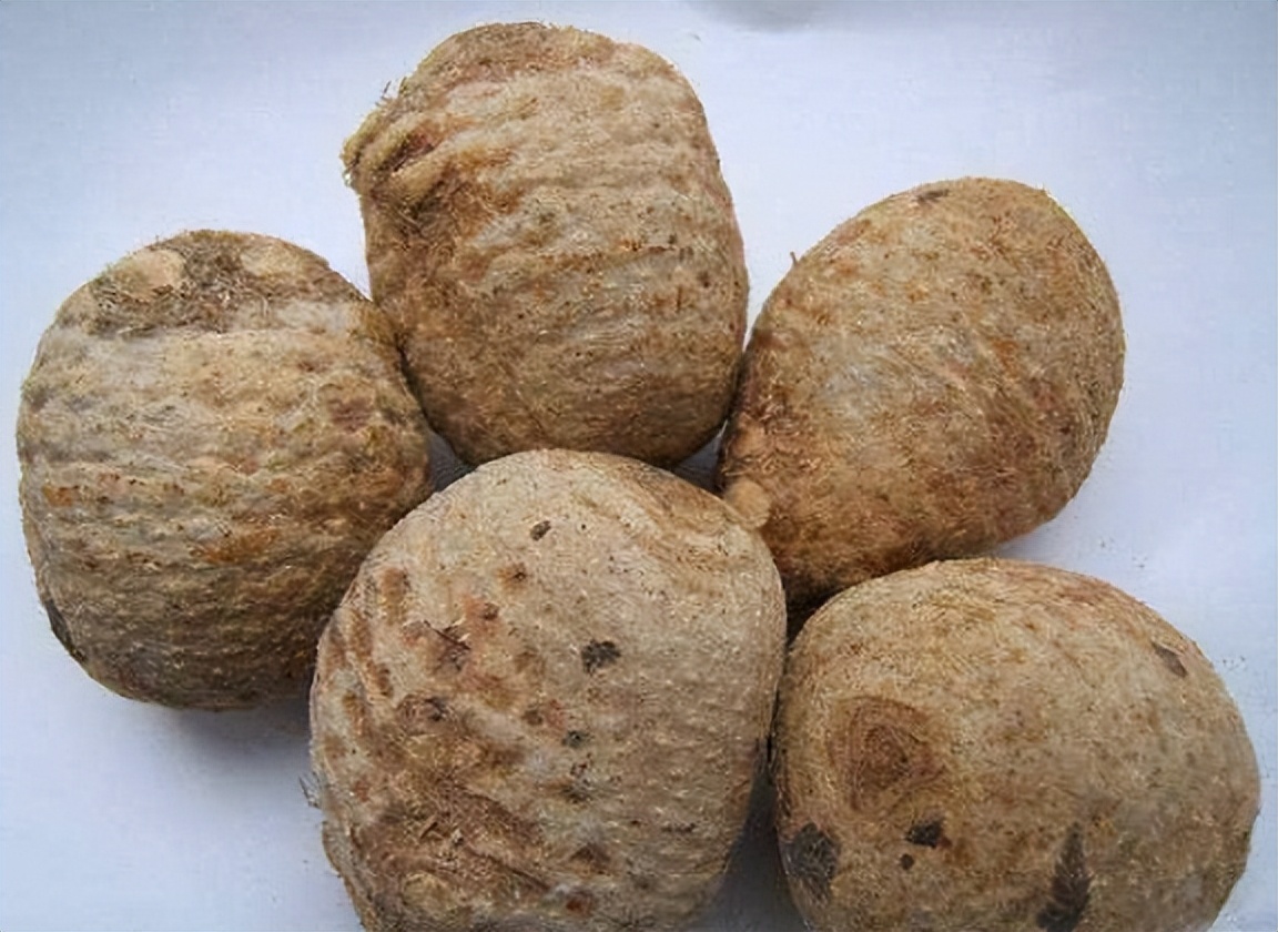 Take you to identify Alisma - iNEWS