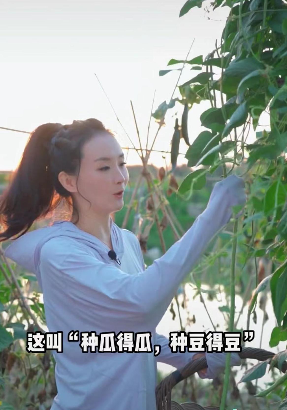 48-year-old Wang Yan went to the field to do farm work, causing ...