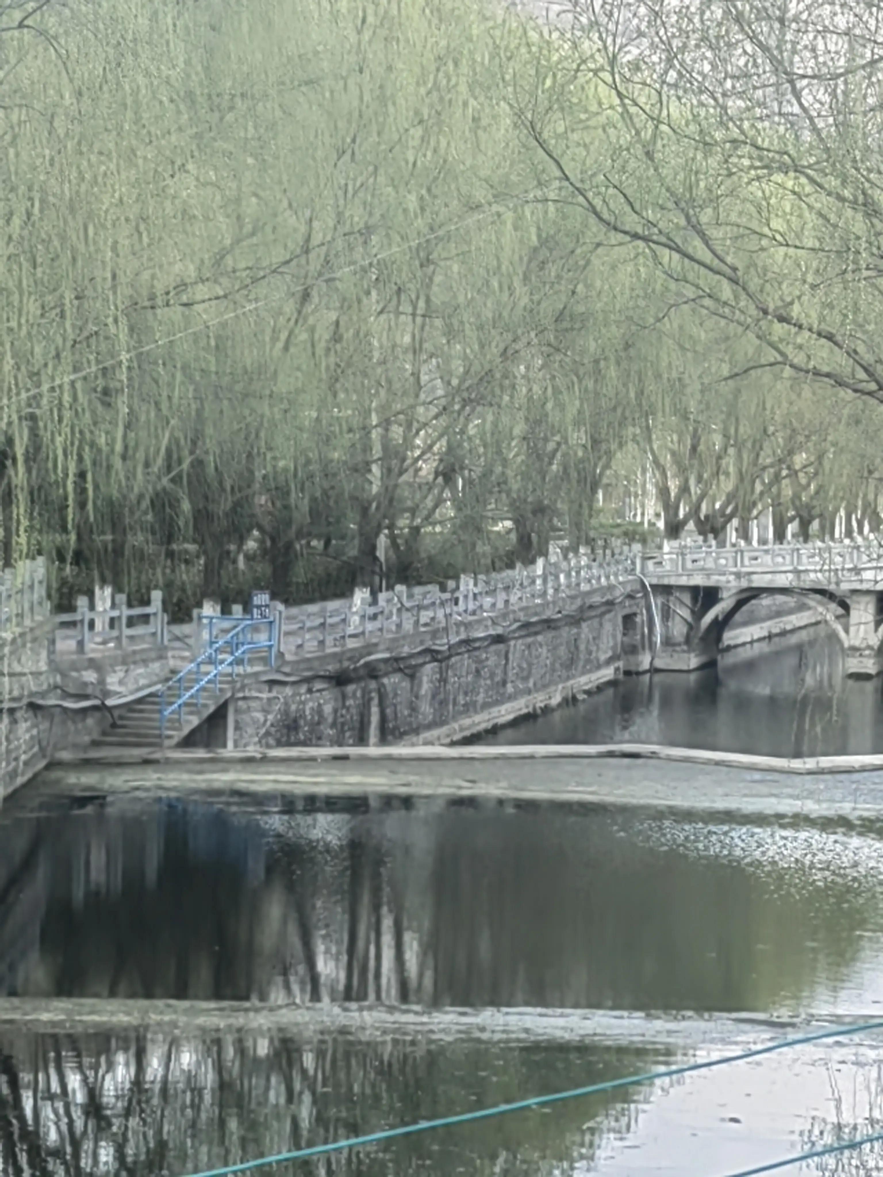 The famous "Liu Mao Calligraphy and Painting Academy" welcomes ...