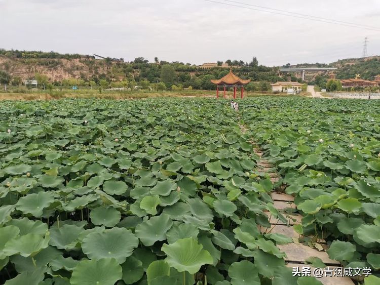 Yuefu Poems (three other poems) - iNEWS