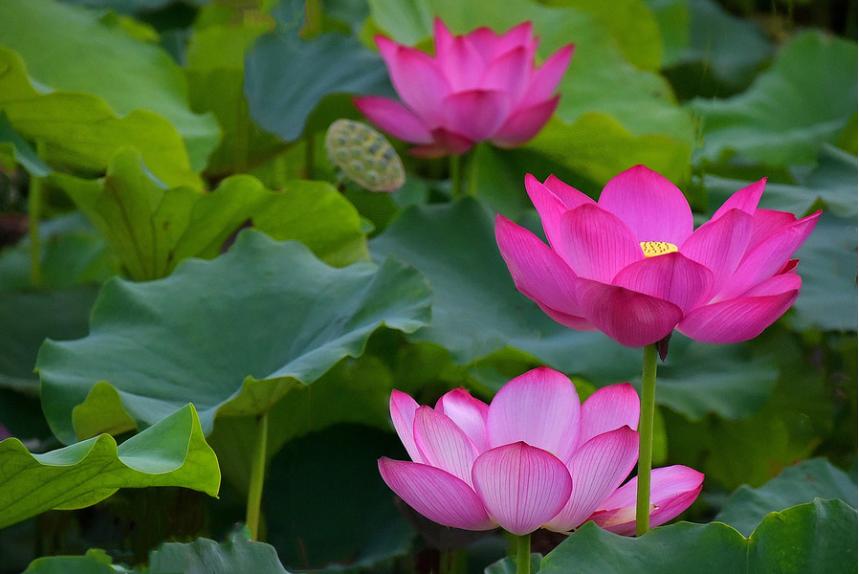 When these 3 things happen in your family, it often means that ...