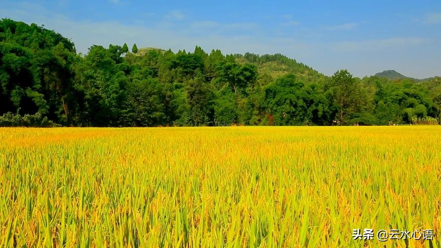 Fan Chengda's two masterpieces, unique in conception and exquisite in ...