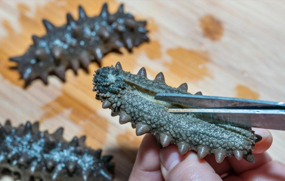 What happens to people who insist on eating one sea cucumber every day ...