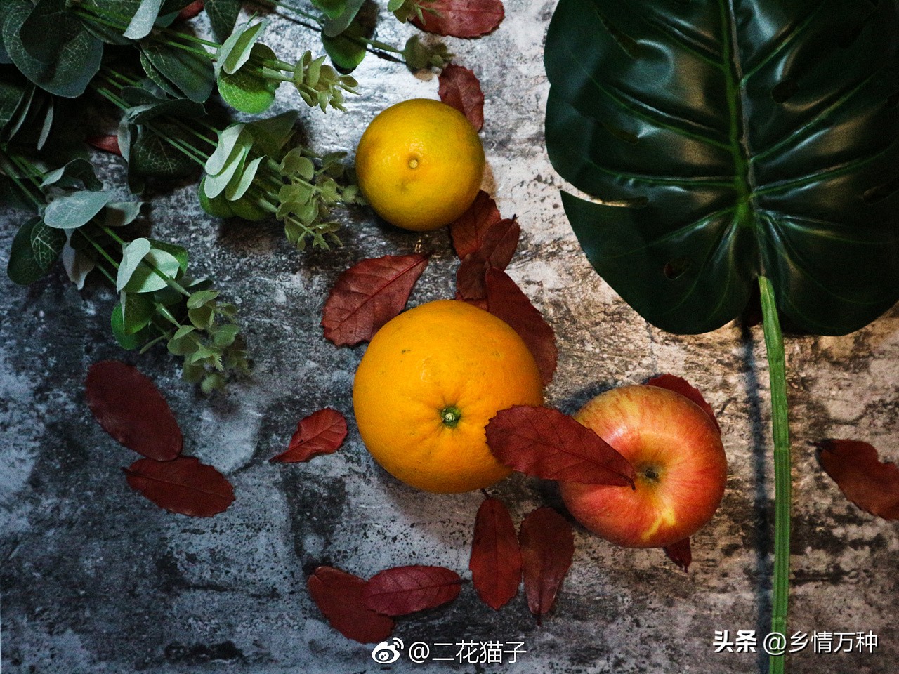 Taste Feast: Savor unique fruit flavors and flavors from around the ...