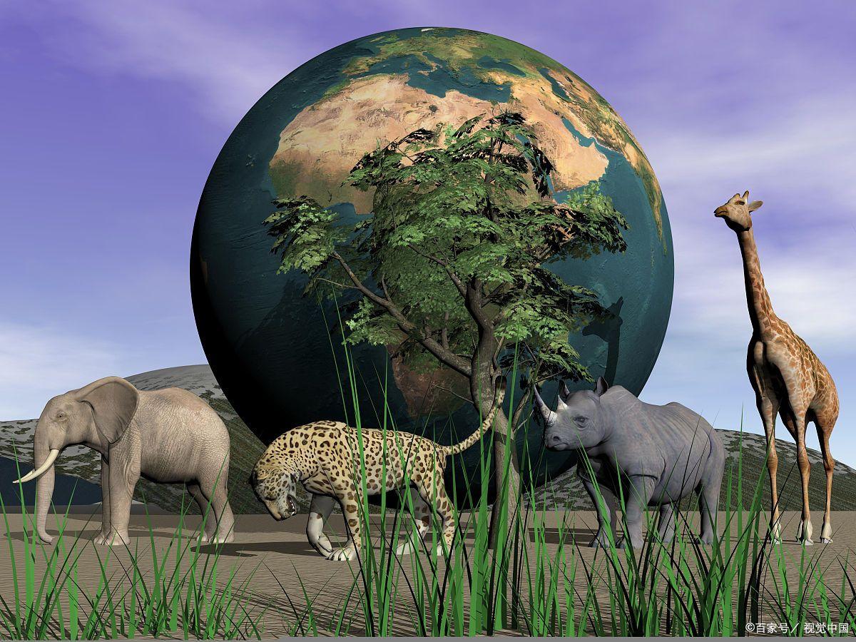 Biodiversity: Why do we need to protect wildlife? - iNEWS