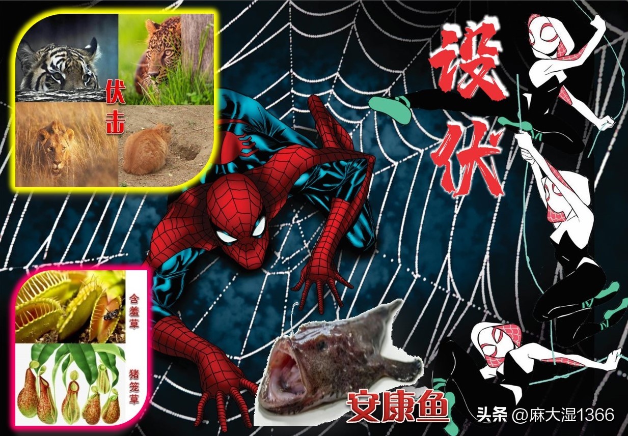 A subtle difference in one word: an ambush is easy to ambush and ...