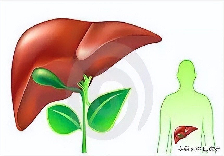 As soon as the liver yang rises, there are many diseases. Zhang Xichun ...