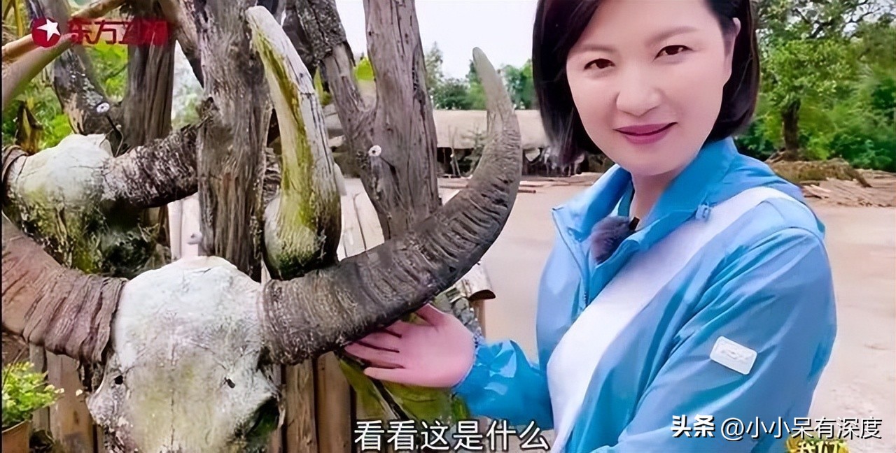 Chen Rong's recent photos are still elegant and beautiful. She is lucky ...