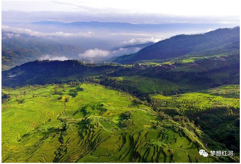 In summer, the terraced fields of Samaba are so beautiful, don't you ...