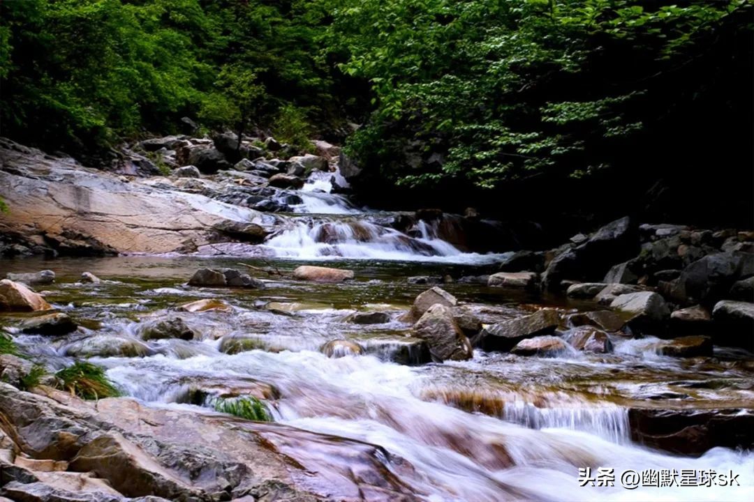 "High imitation Nongfu Spring"? Can Yingjia Mountain Spring become a ...
