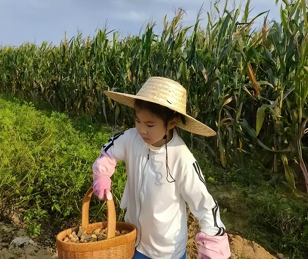 Guo Bin brought a smile back to his hometown to shave peanuts. He ...