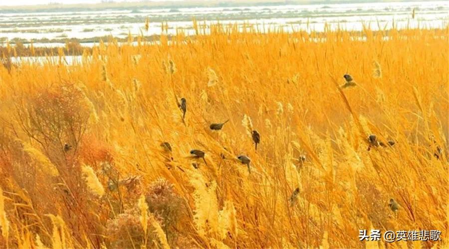 Why is the lowest point of China's landmass at Ayding Lake in Xinjiang ...