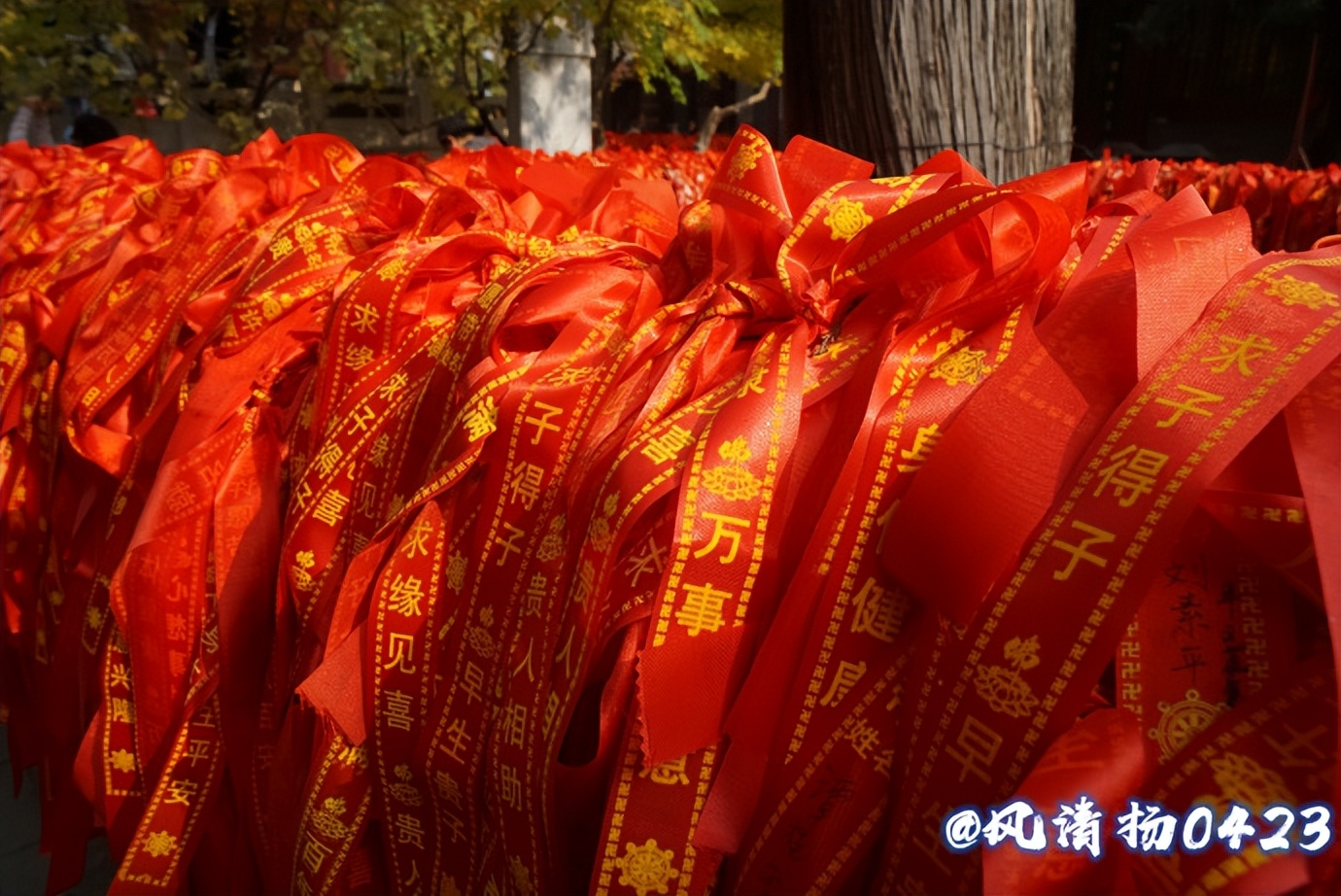 Buddha Enlightenment in Hongluo Temple (22-295) - iNEWS