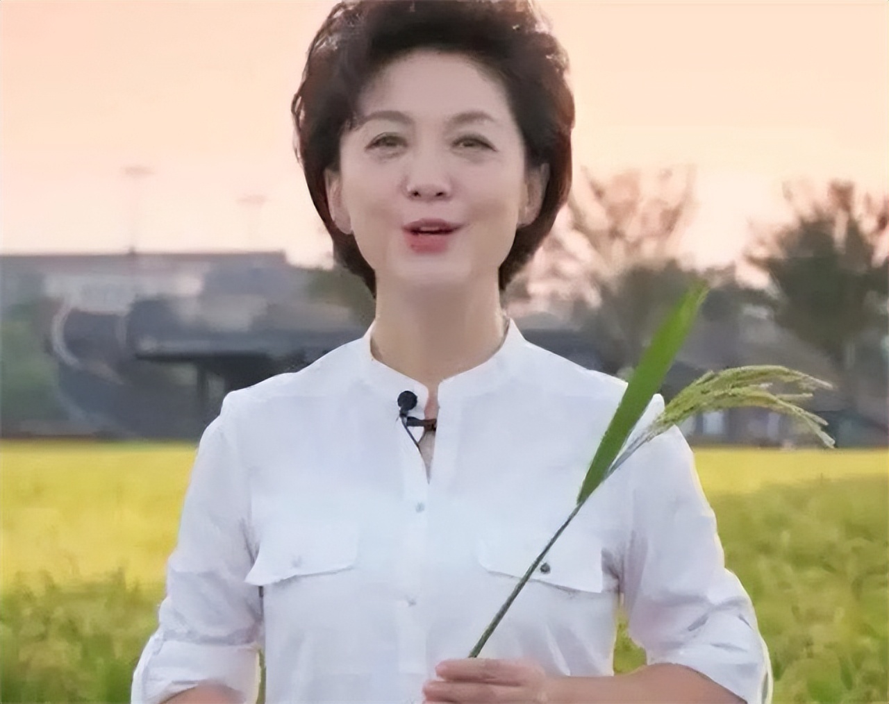 Haixia, a famous host of CCTV, married a professor of Tsinghua ...