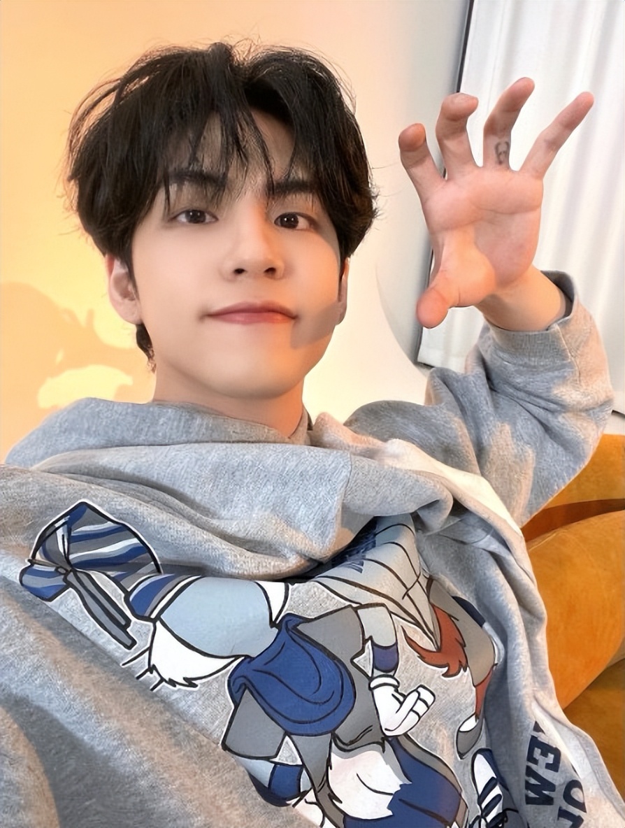 Inventory of 12 "dinosaur face" Korean stars, SJ Donghae and SEVENTEEN ...