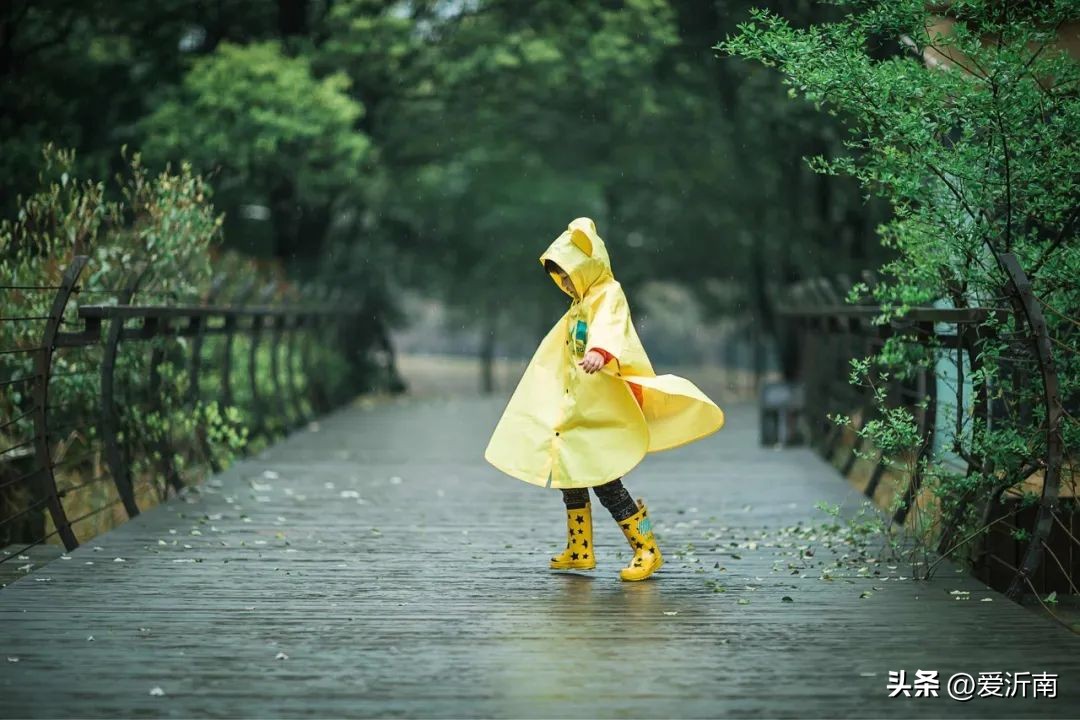 "Little Doudou by the Window": Give a poor student a ray of light, he ...