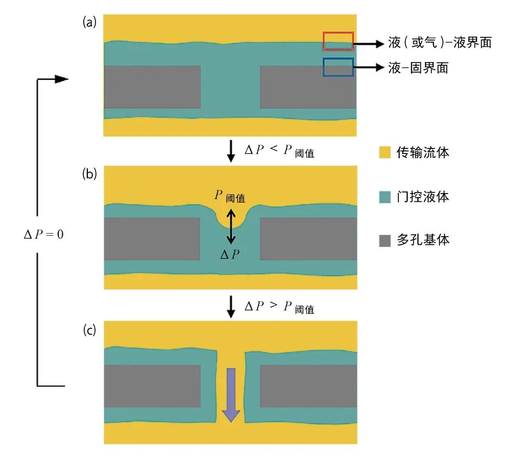 Overview of Liquid Gating Technology - iNEWS