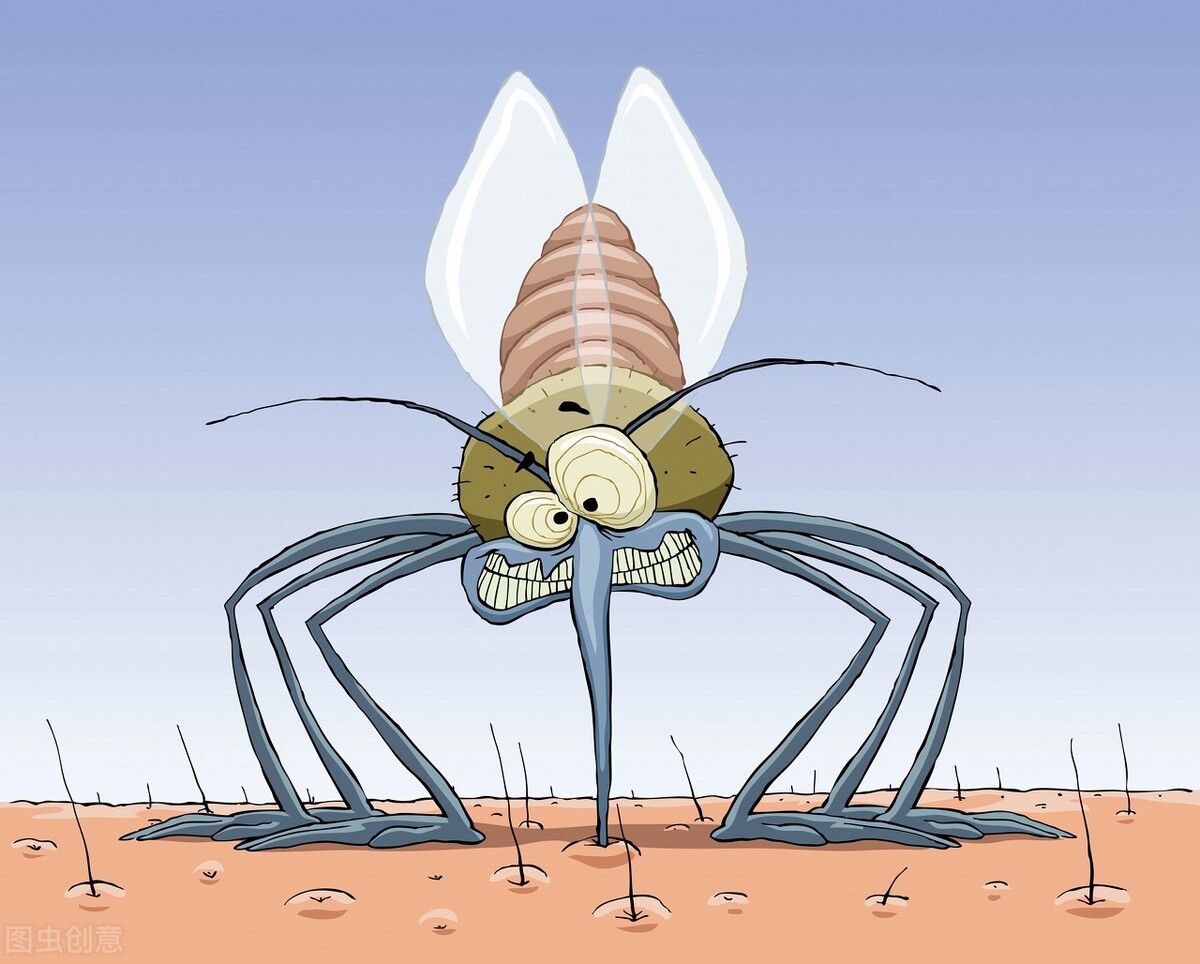 Why do mosquitoes buzz in your ears when you sleep at night? - iNEWS