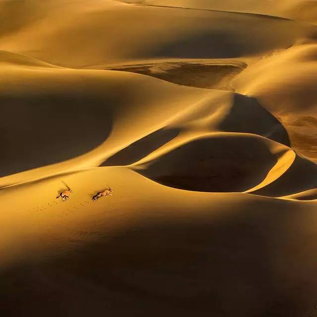 Chinese Landscape Photography Charm Light and Shadow Visual Feast "The ...
