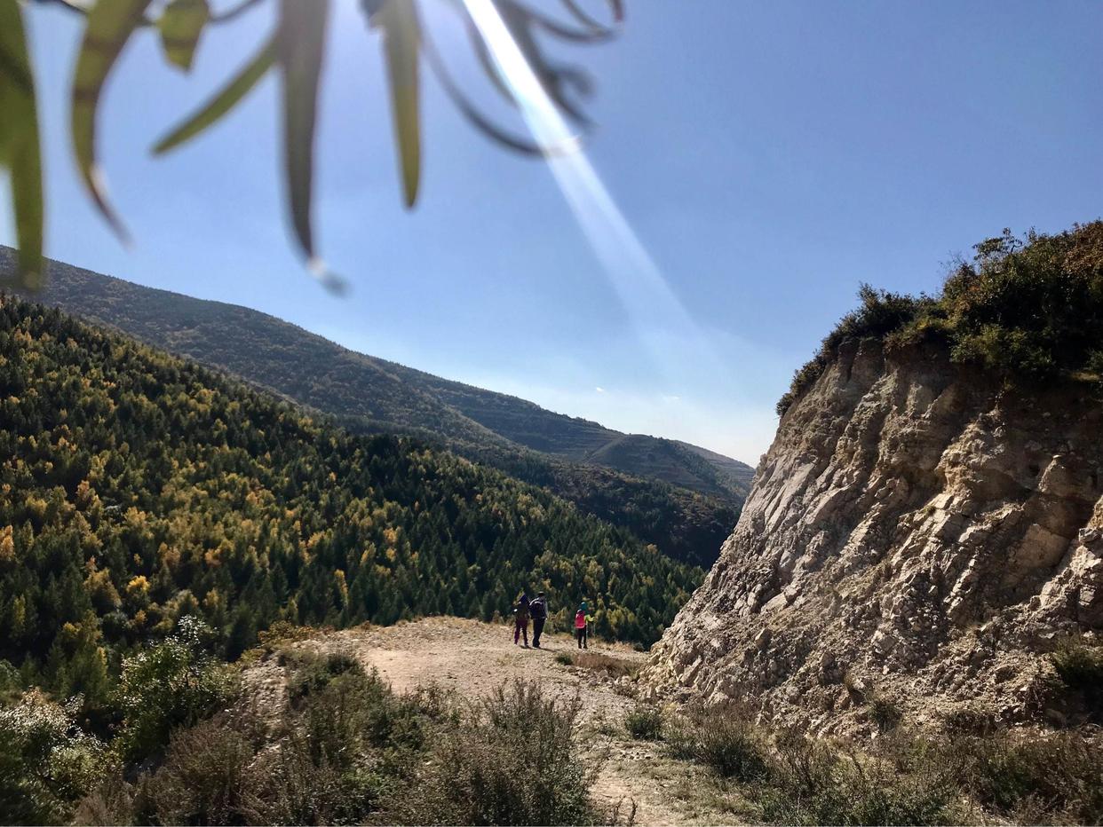 What are the tourist attractions in Shenchi - iNEWS