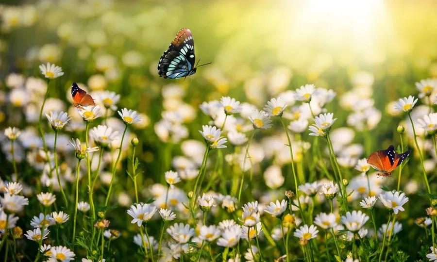 Why do I get hives in spring? - iNEWS