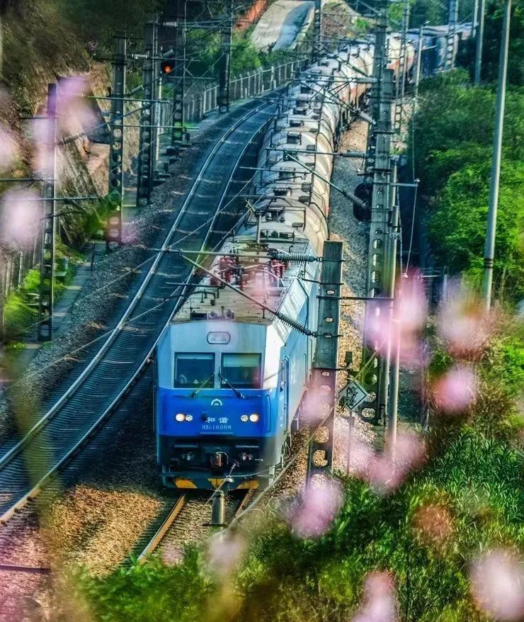 So beautiful!You will be amazed by these rare trains passing through ...