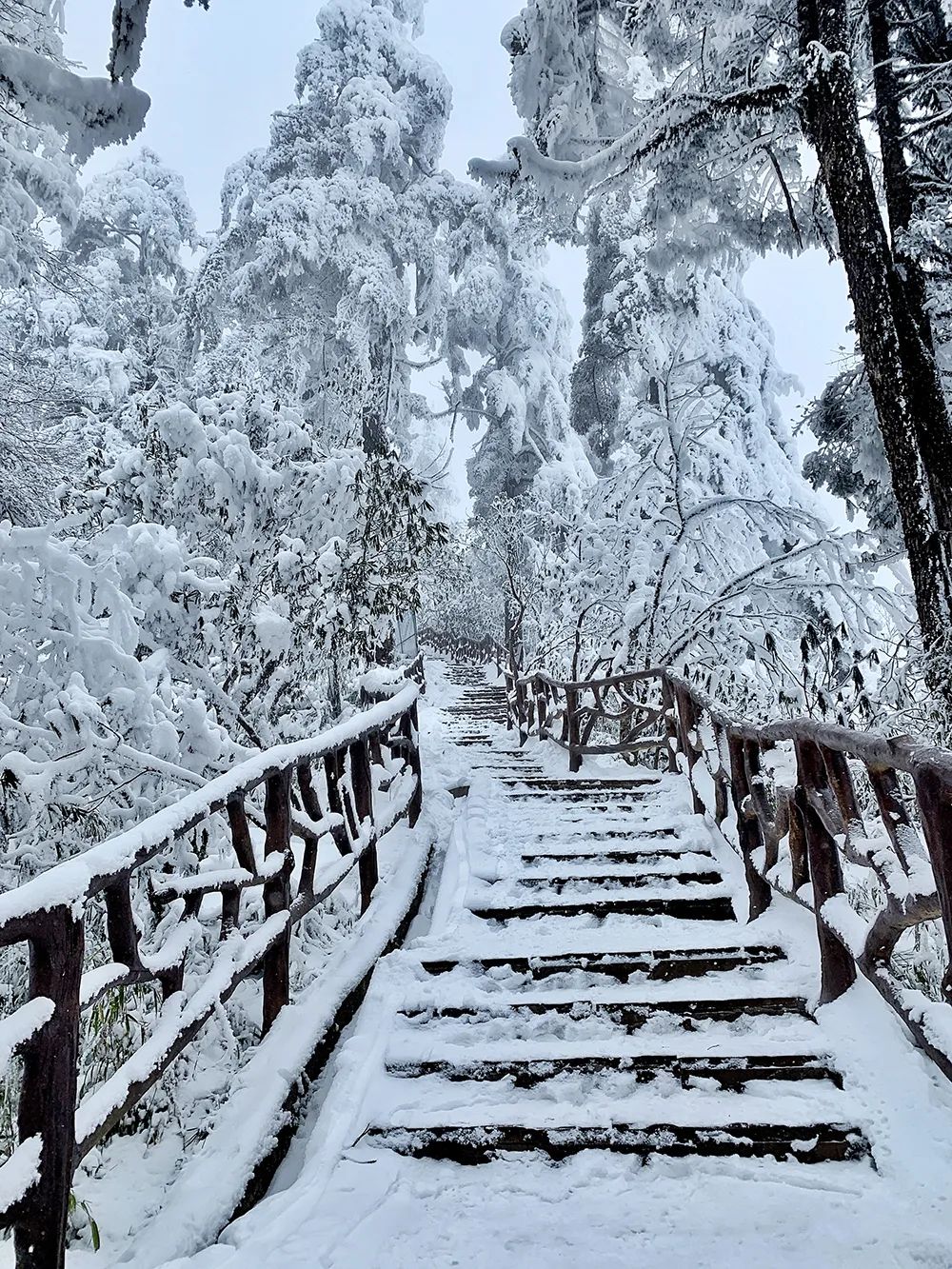 Play snow in Wawu Mountain, no regrets in 2022 - iNEWS