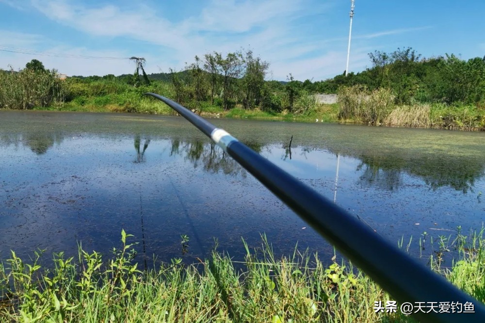 Detailed explanation of centipede floating fishing method: the fishing ...