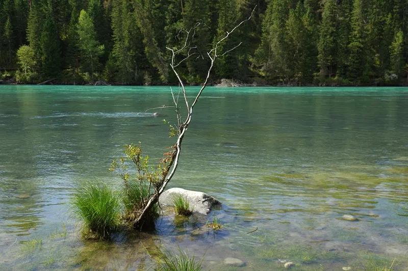 Cold knowledge of history - talk about Wu Qi in the Warring States ...