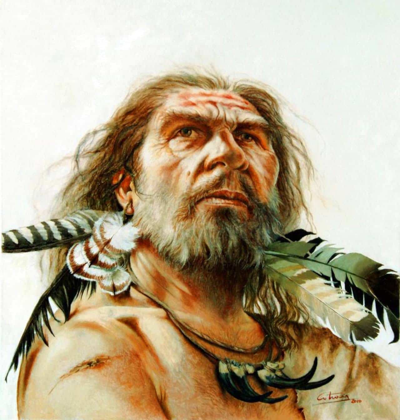 Neanderthals and modern humans interbred primarily in the Middle East ...