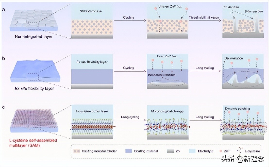Amino acid self-assembled multilayer structure realizes long-life ...