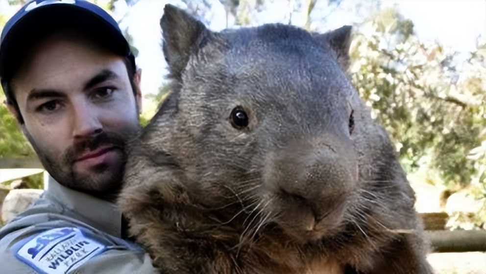 Is the Chernobyl giant rat in the former Soviet Union real? The mutant ...