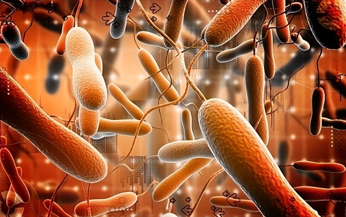 Deadly bacteria strike! Many people were recruited, their organs were ...