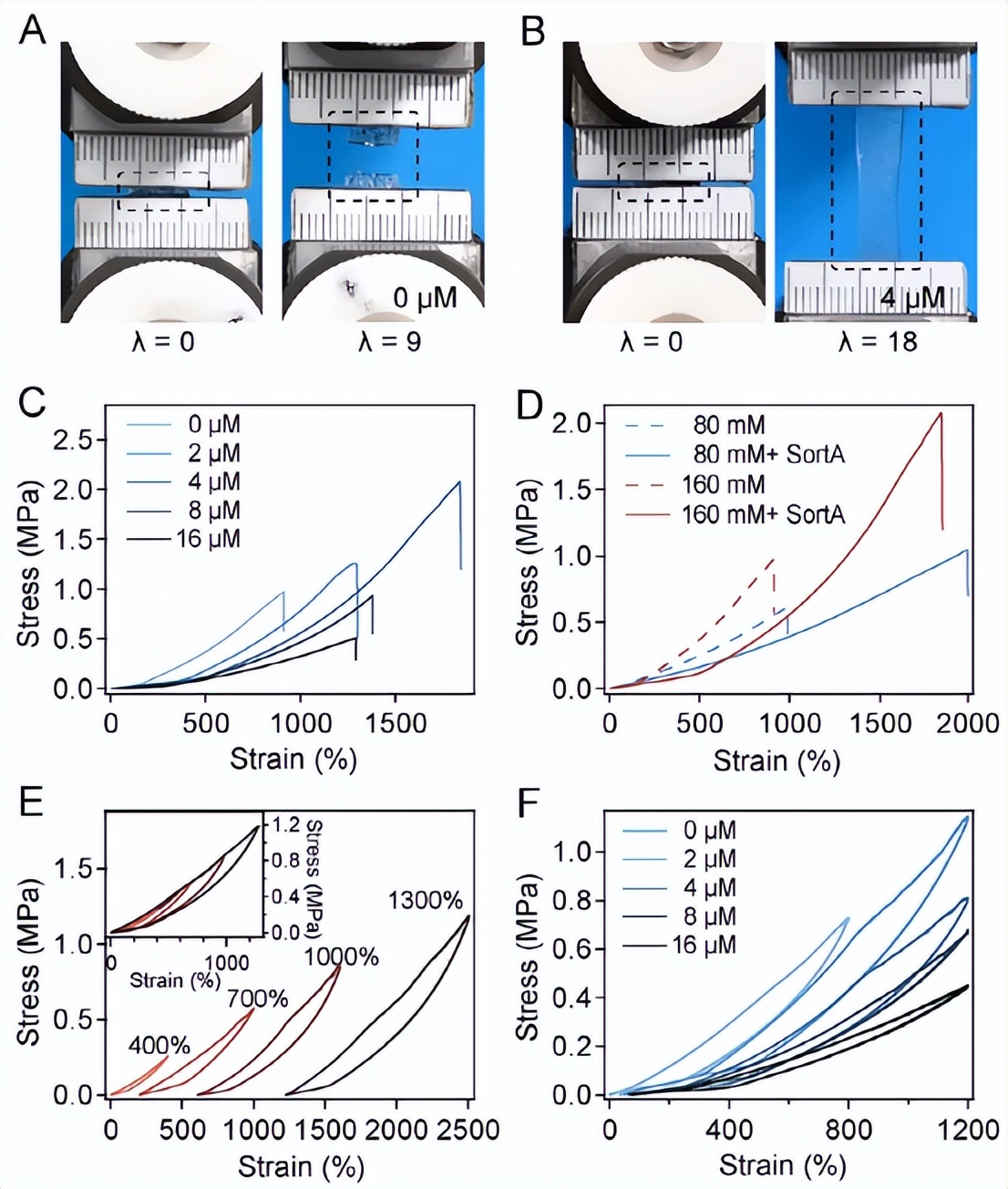"Angew》Nanjing University: Strongly reversible covalent double network ...