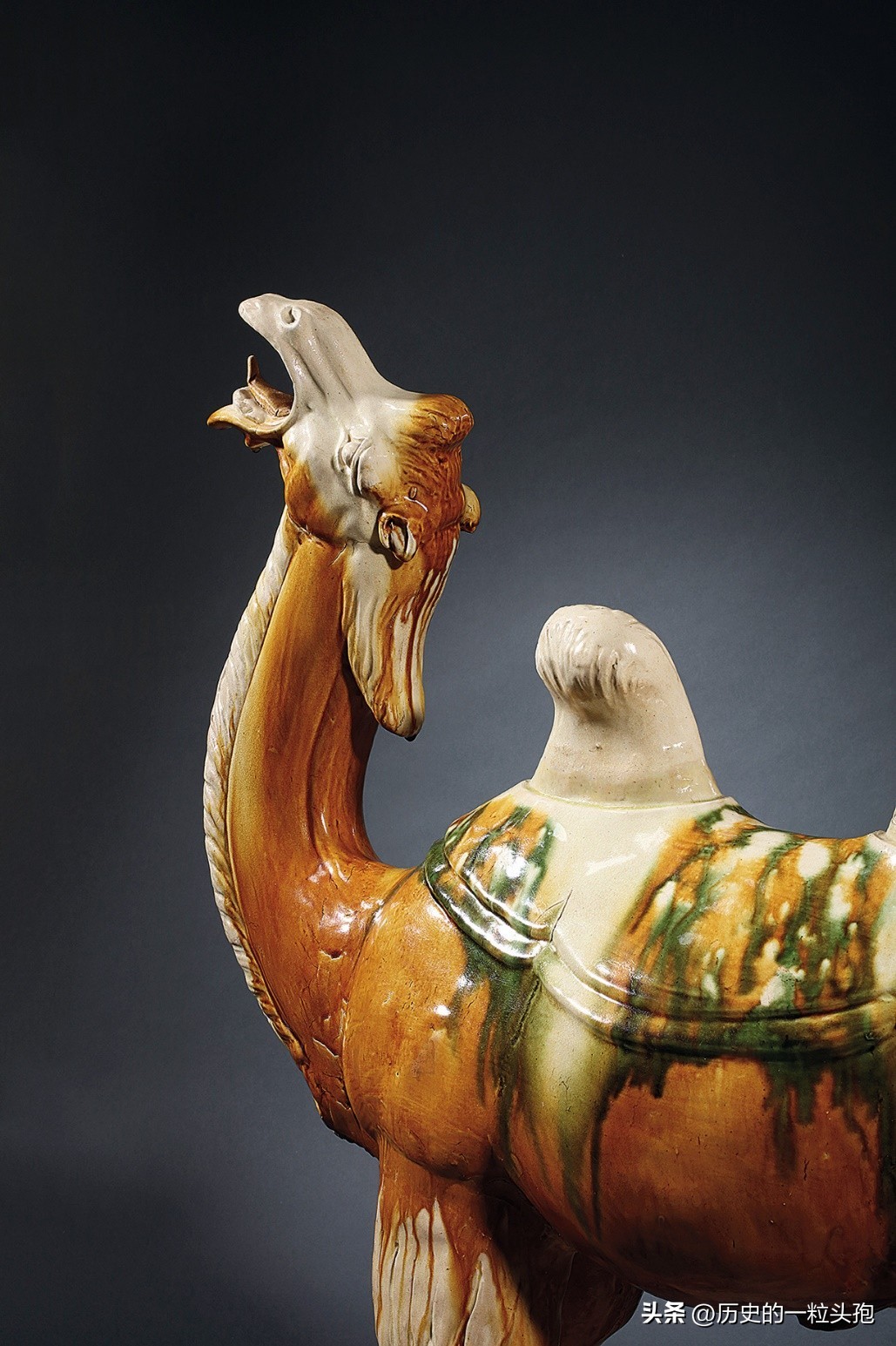 Exploring the development and evolution of ancient Chinese camel art ...