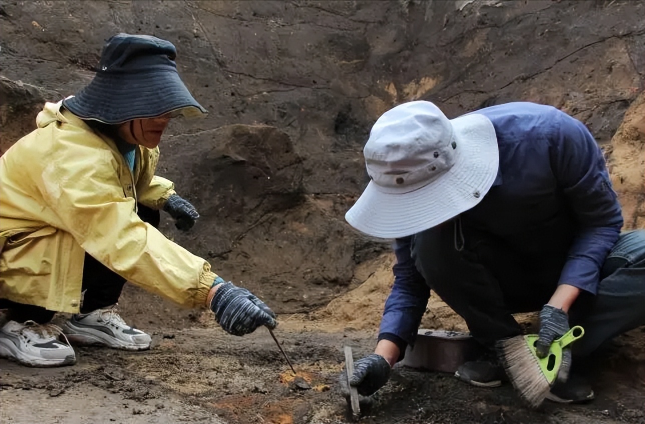 The unearthed cultural relics were damaged during transportation, and ...