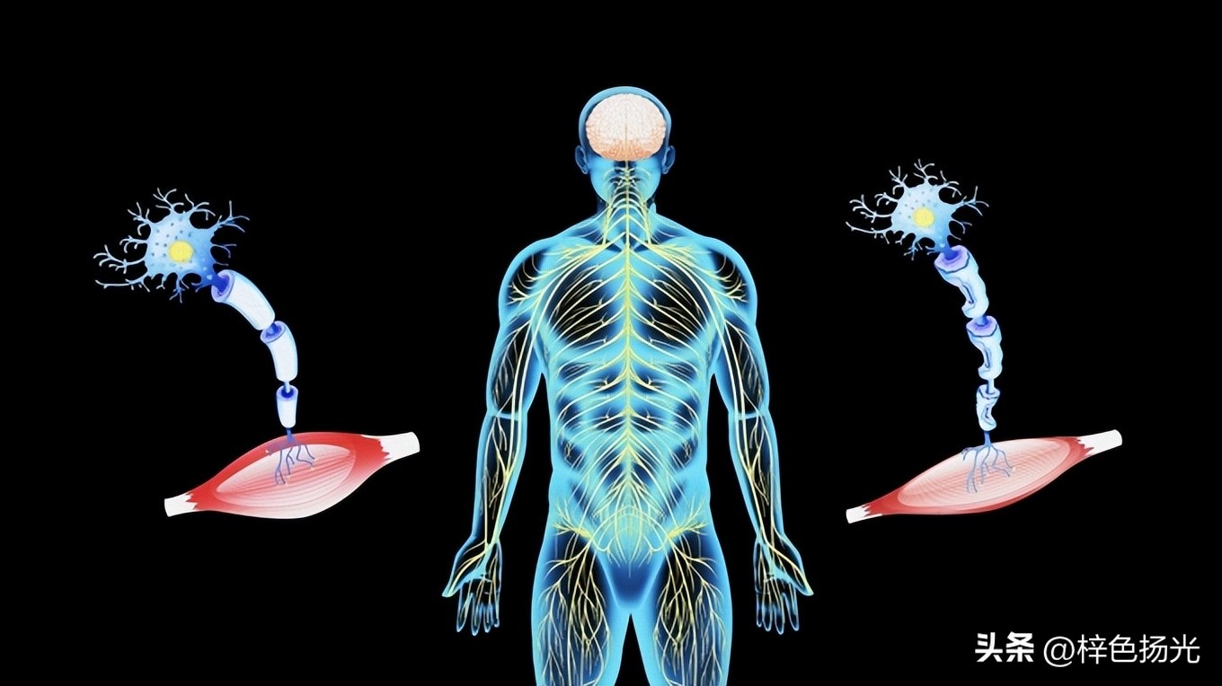 Remnants of ancient virus may fuel ALS in humans - iMedia