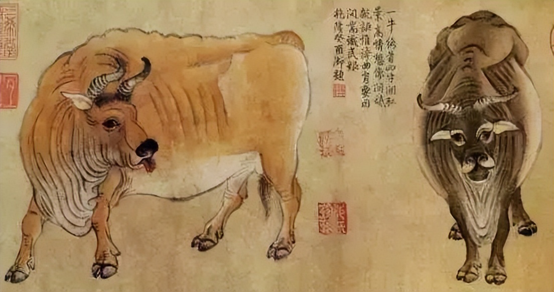 [Appreciation of Calligraphy and Painting] The cow in the painting of ...