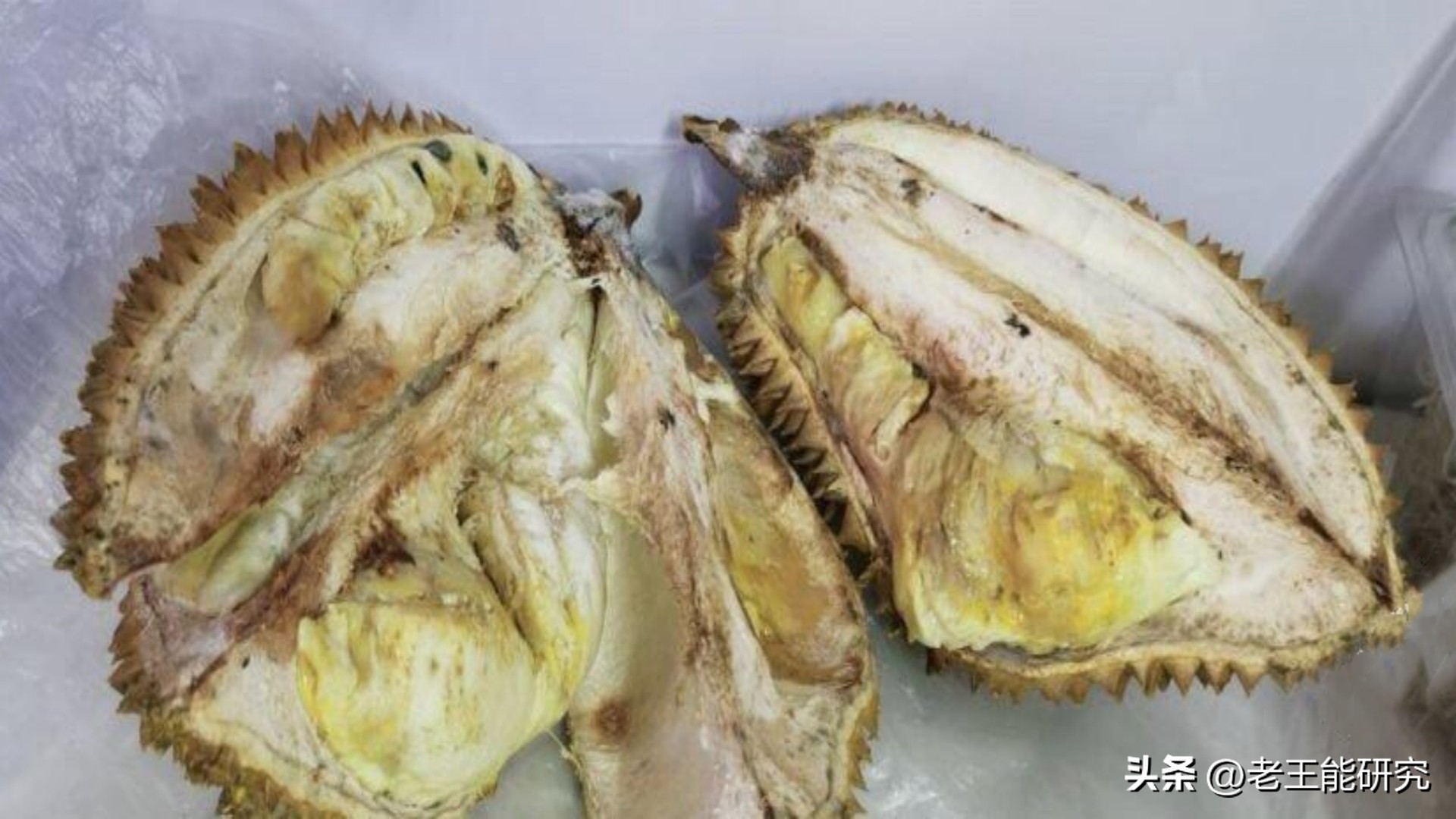Ten tips for picking durians, tried and tested. Remember how much to ...
