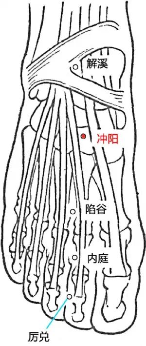 Chongyang point, Weibing point, the point where the Yang Qi of the ...