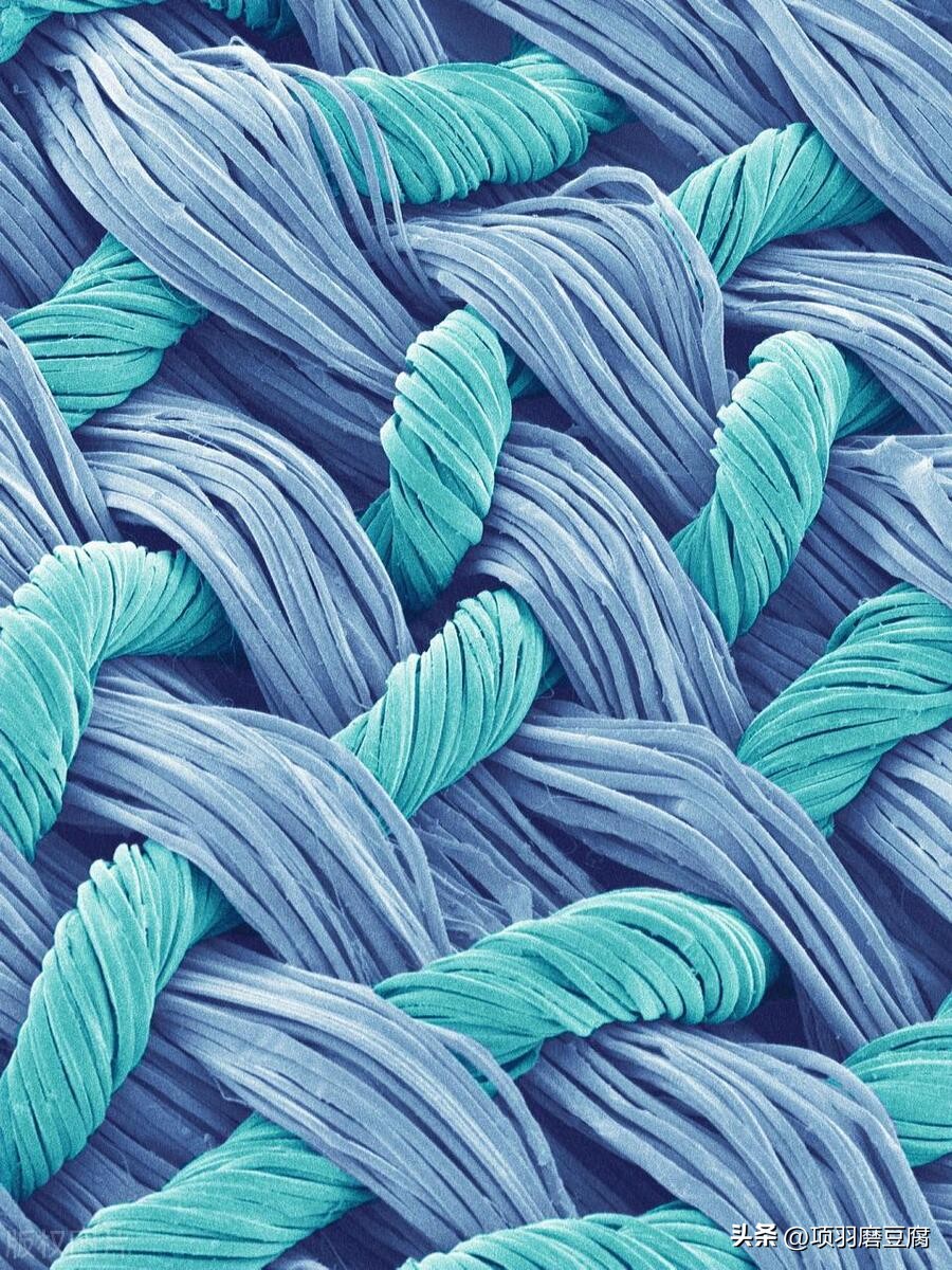 The Evolution of Fiber Clothing - A Comfortable Journey - iNEWS