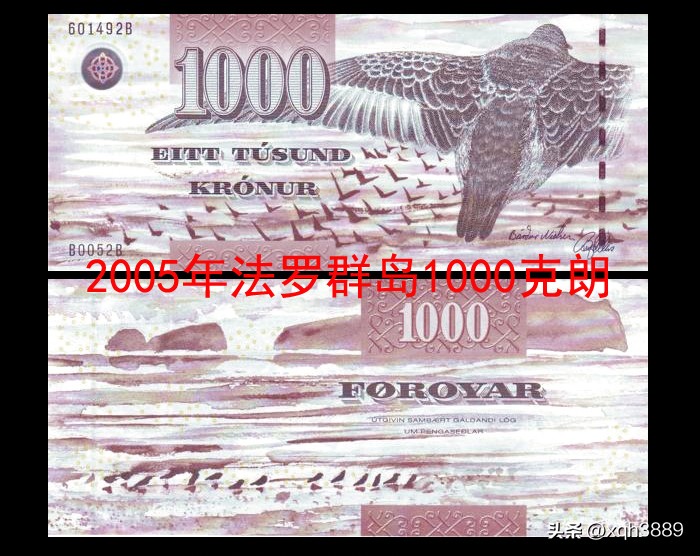 Appreciation of the most beautiful banknotes in the world - iNEWS