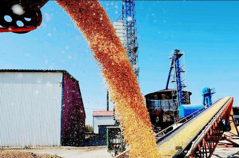 incredible! China's largest grain depot has a storage capacity of 5 ...