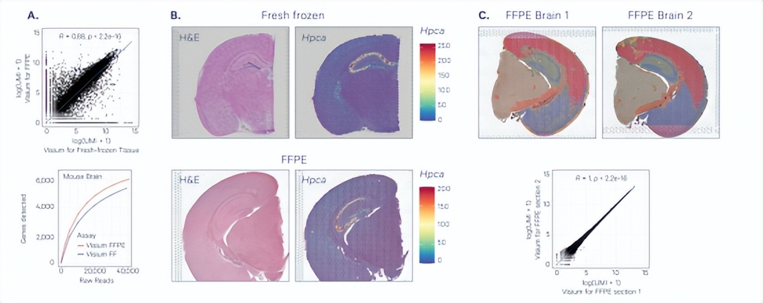 10x Genomics FFPE sample spatial multi-omics solution ready for early ...