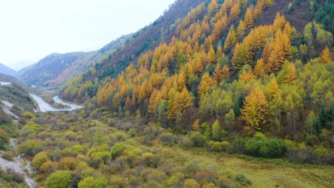 Watching the autumn colors of Zhangshui and visiting Jinxuan Wonderland ...