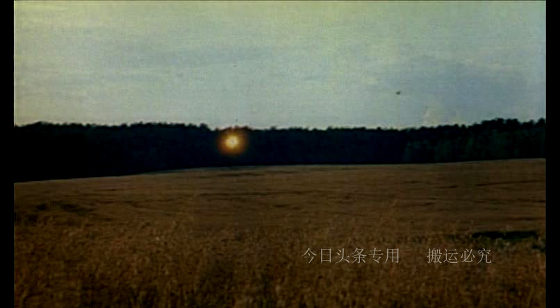 Russian director Nikita Mikhalkov! Family tragedy and exploration of ...